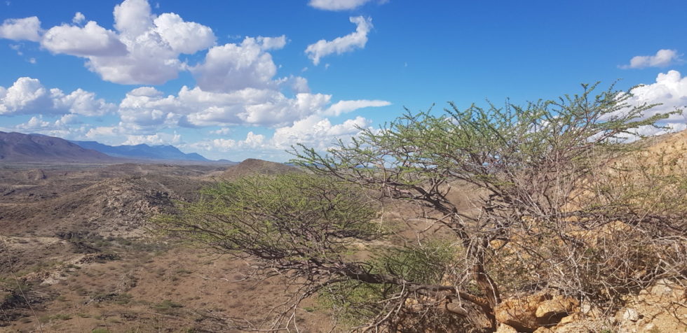 Tourmalines of Erongo, Namibia | Le Gemmologue